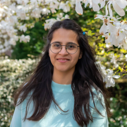 Contact Download My Resume